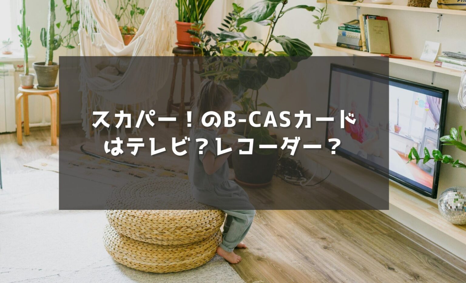 スカパー！のB-CASカードはテレビ？レコーダー？どっちを使うべきか解説！ | VOD+Eライフハック