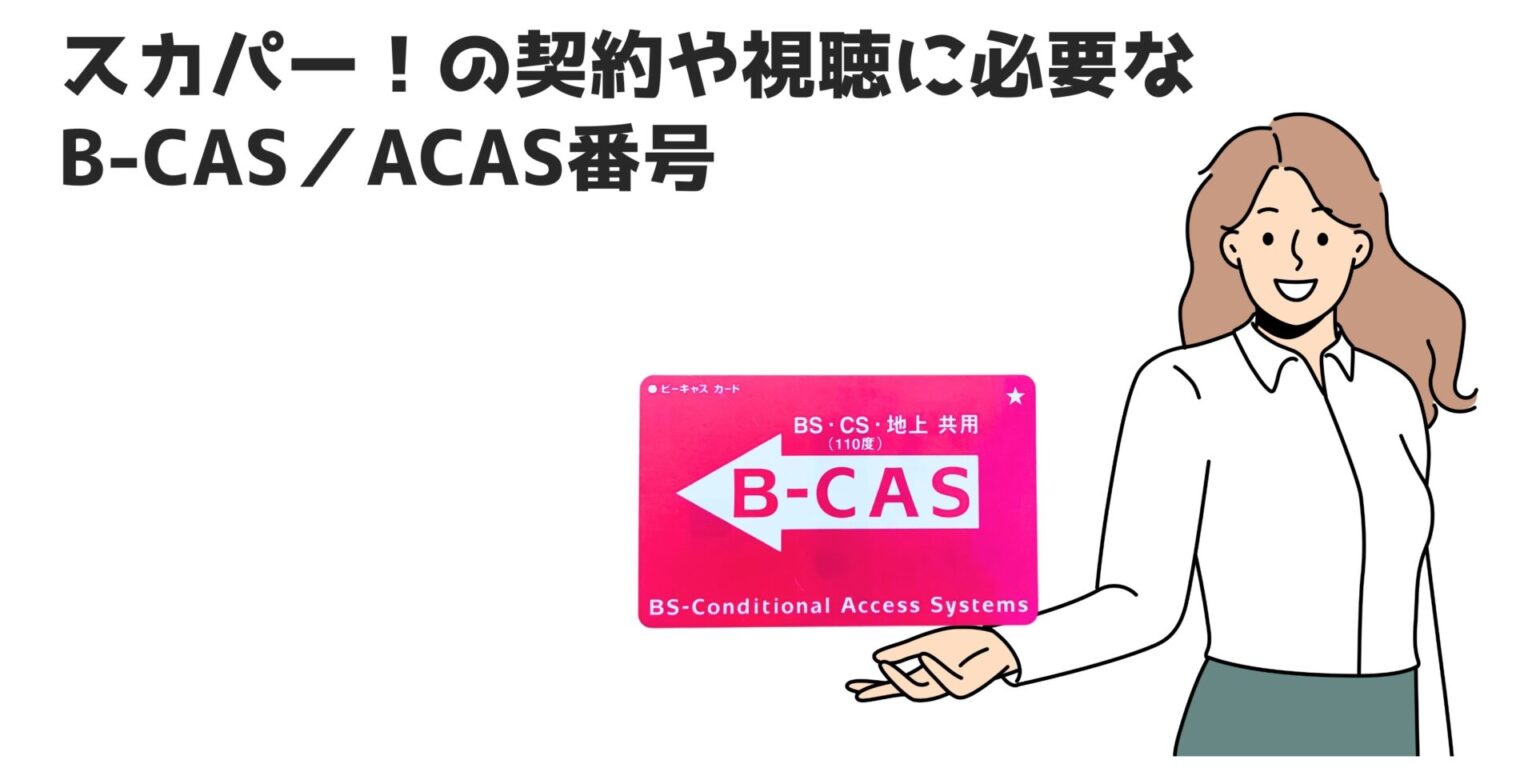 スカパー！のB-CASカードはテレビ？レコーダー？どっちを使うべきか解説！ | VOD+Eライフハック